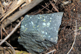 Things to do on Texada – Texada Island Inn